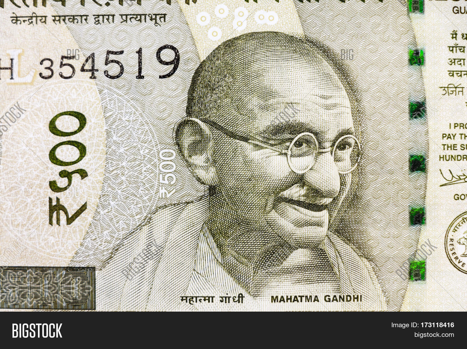 Closeup Macro View Image & Photo (Free Trial) | Bigstock