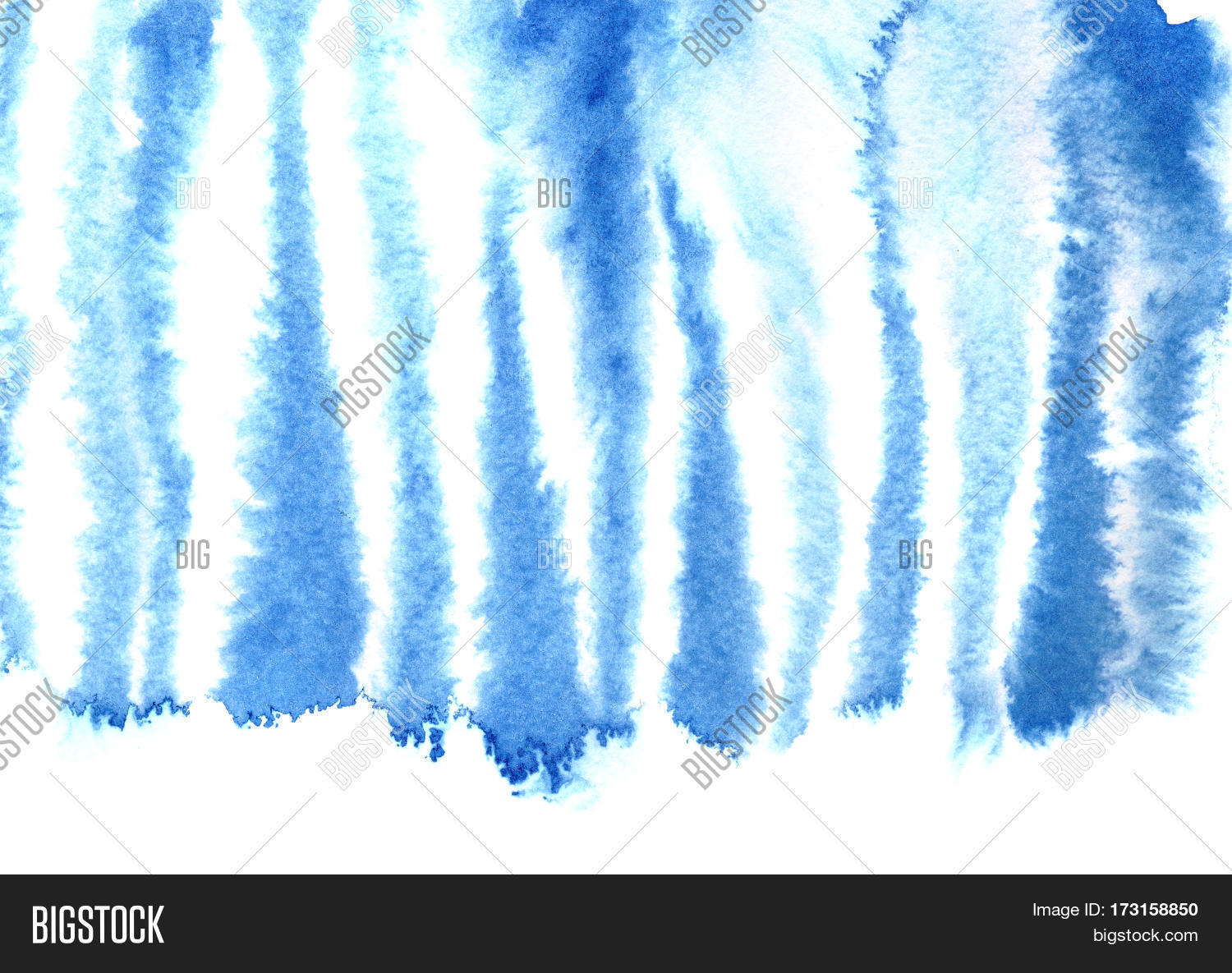 Blue Zebra Skin Image & Photo (Free Trial) | Bigstock