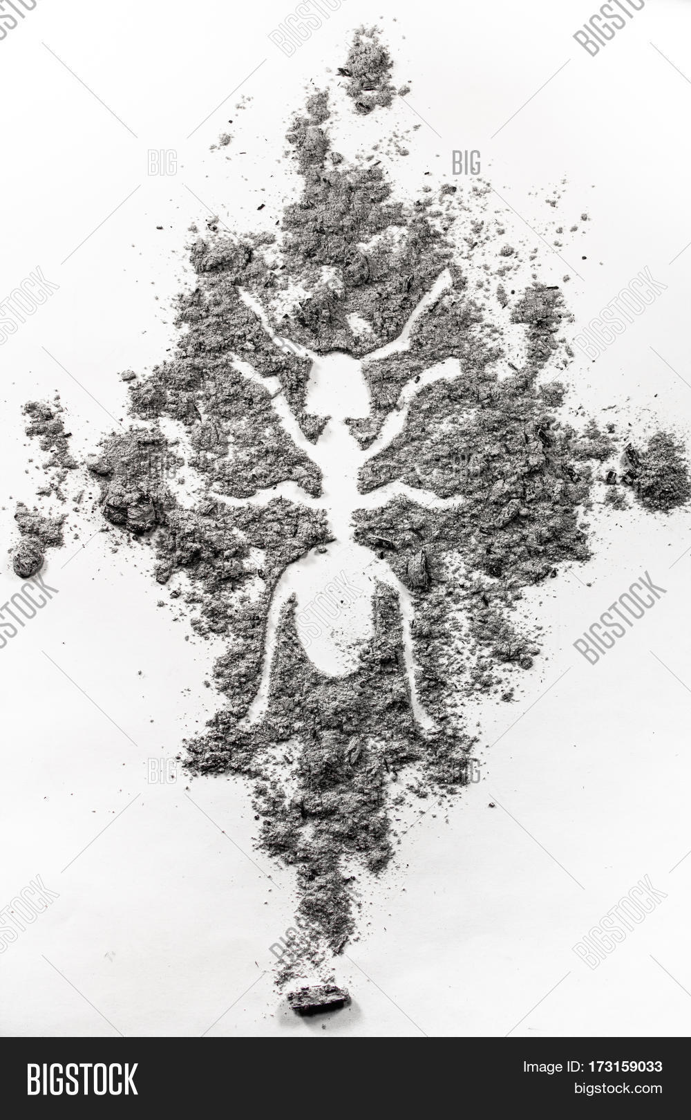 Ant Termite Drawing Image & Photo (Free Trial) | Bigstock