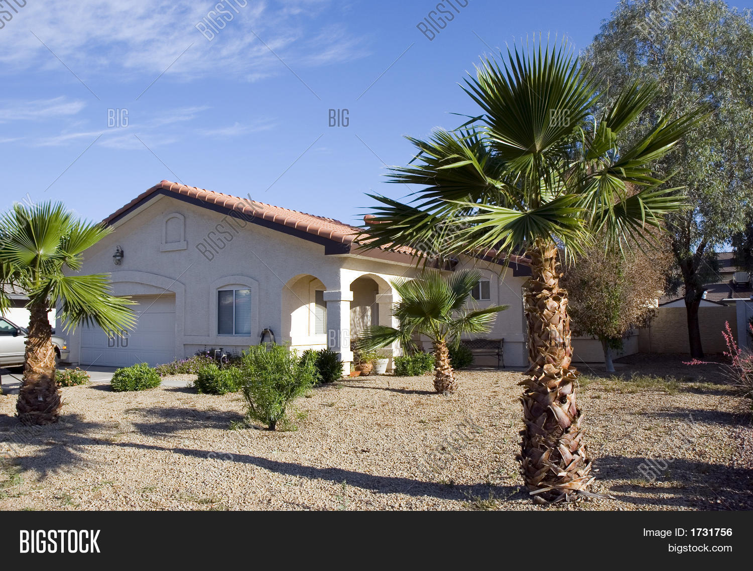Arizona Front Yard Image & Photo (Free Trial) | Bigstock