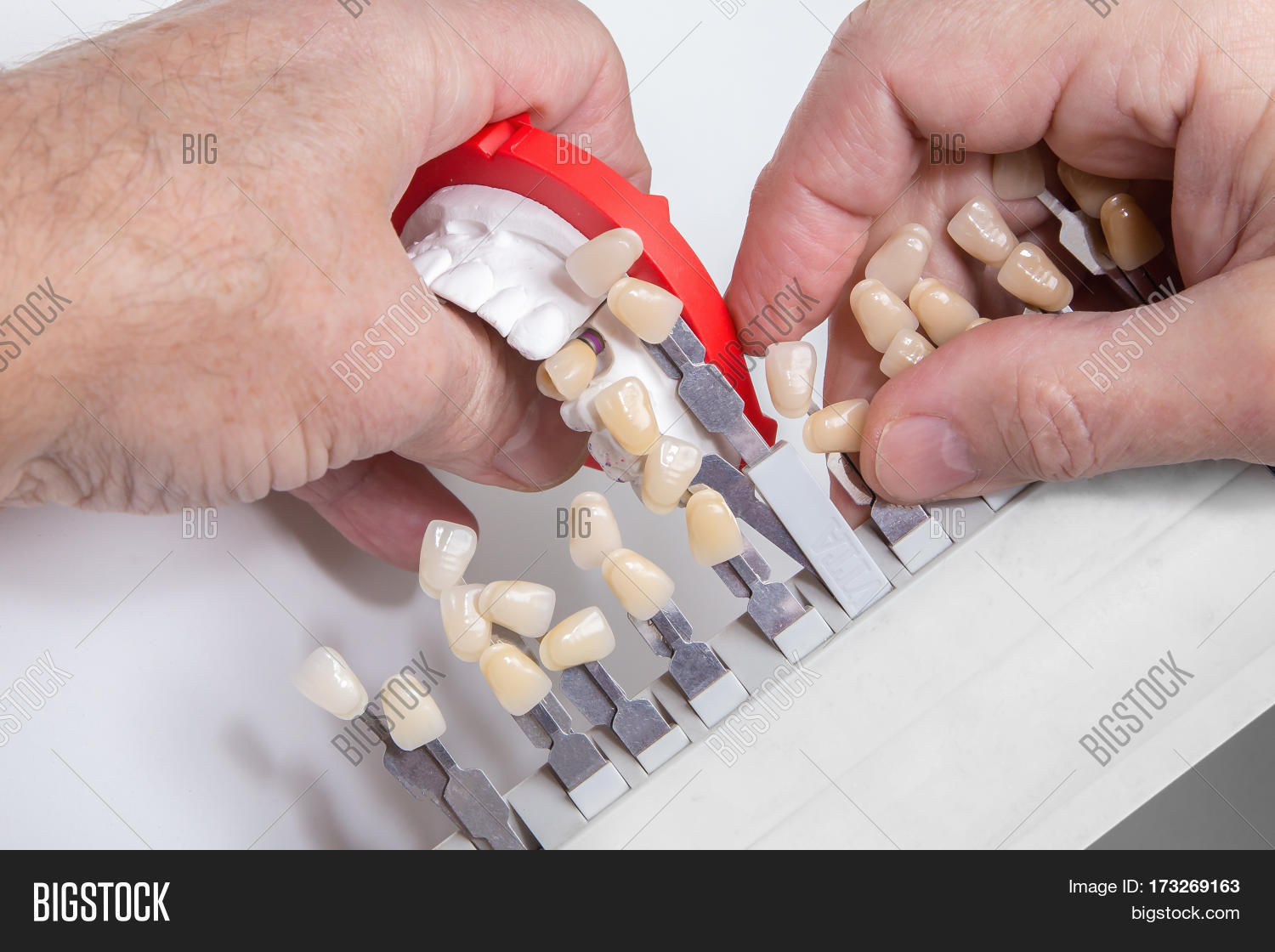 Dentist Hands Color Image & Photo (Free Trial) | Bigstock