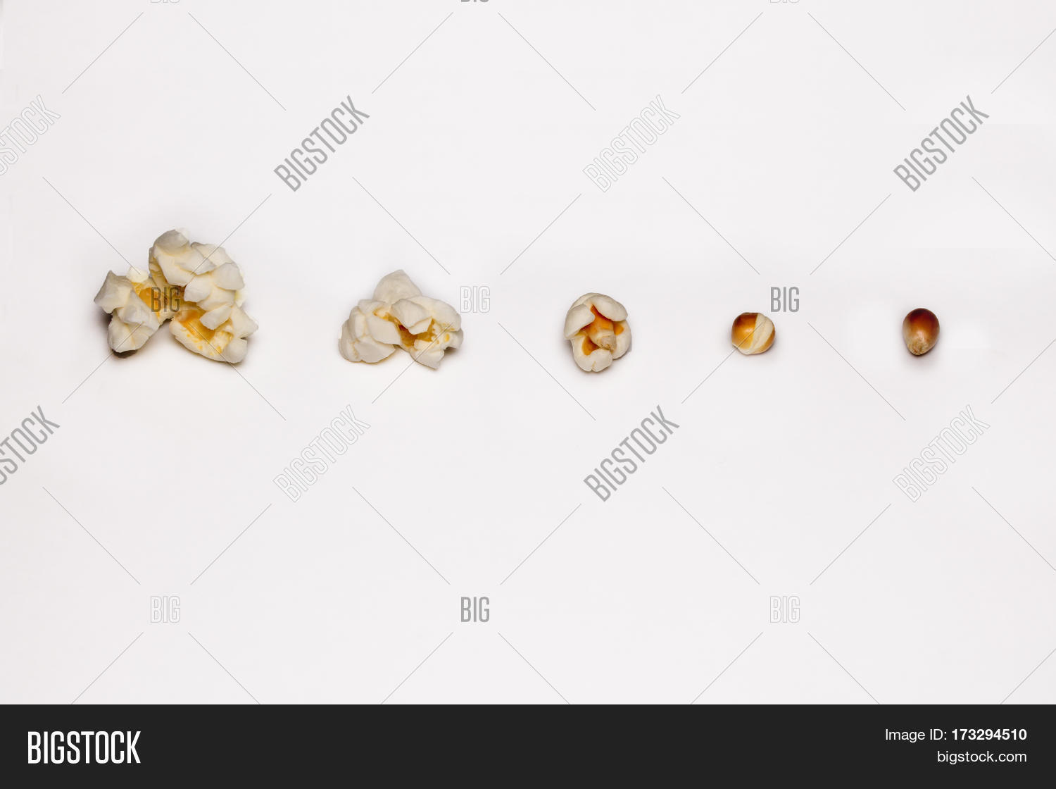 Stages Preparation Image & Photo (Free Trial) | Bigstock