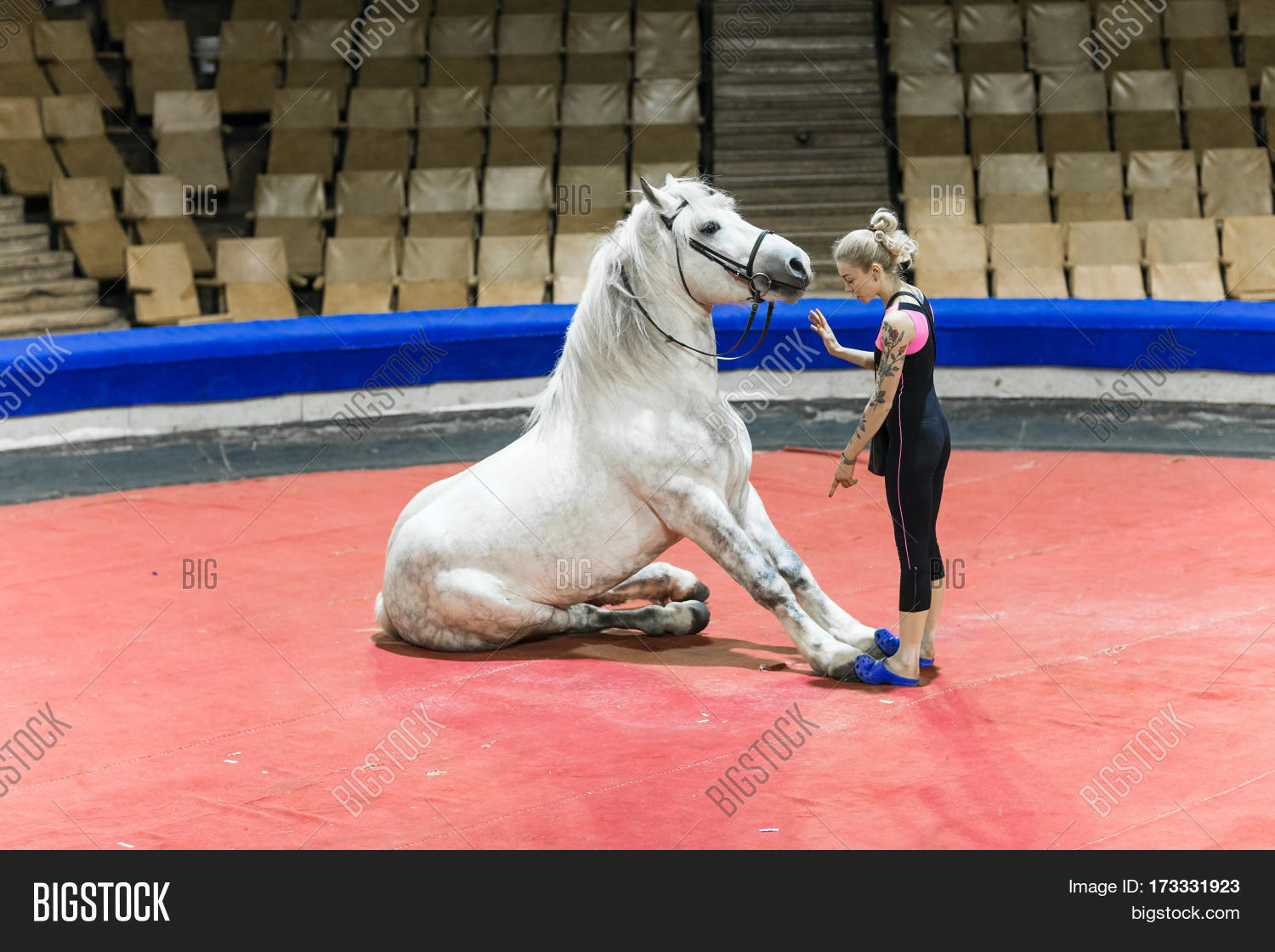 Female Trainer Train Image & Photo (Free Trial) | Bigstock