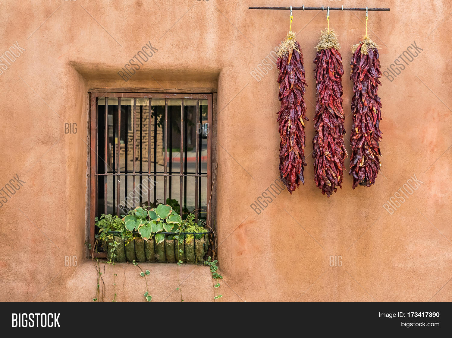 Ristra Arrangement Image & Photo (Free Trial) | Bigstock