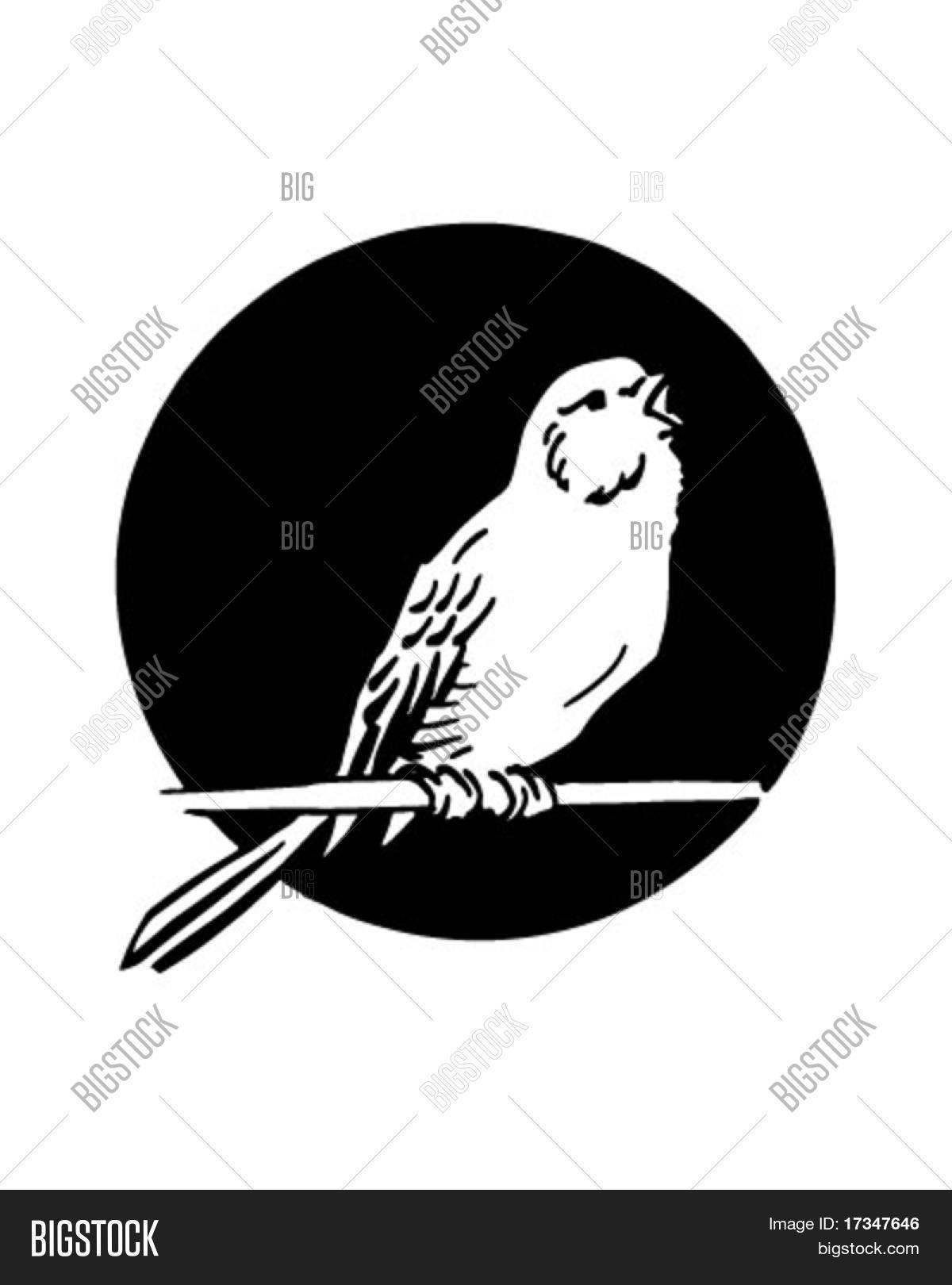 Single Bird - Retro Vector & Photo (Free Trial) | Bigstock
