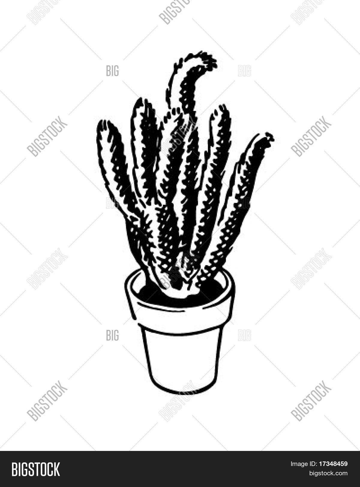 Plant 1 - Retro Vector & Photo (Free Trial) | Bigstock