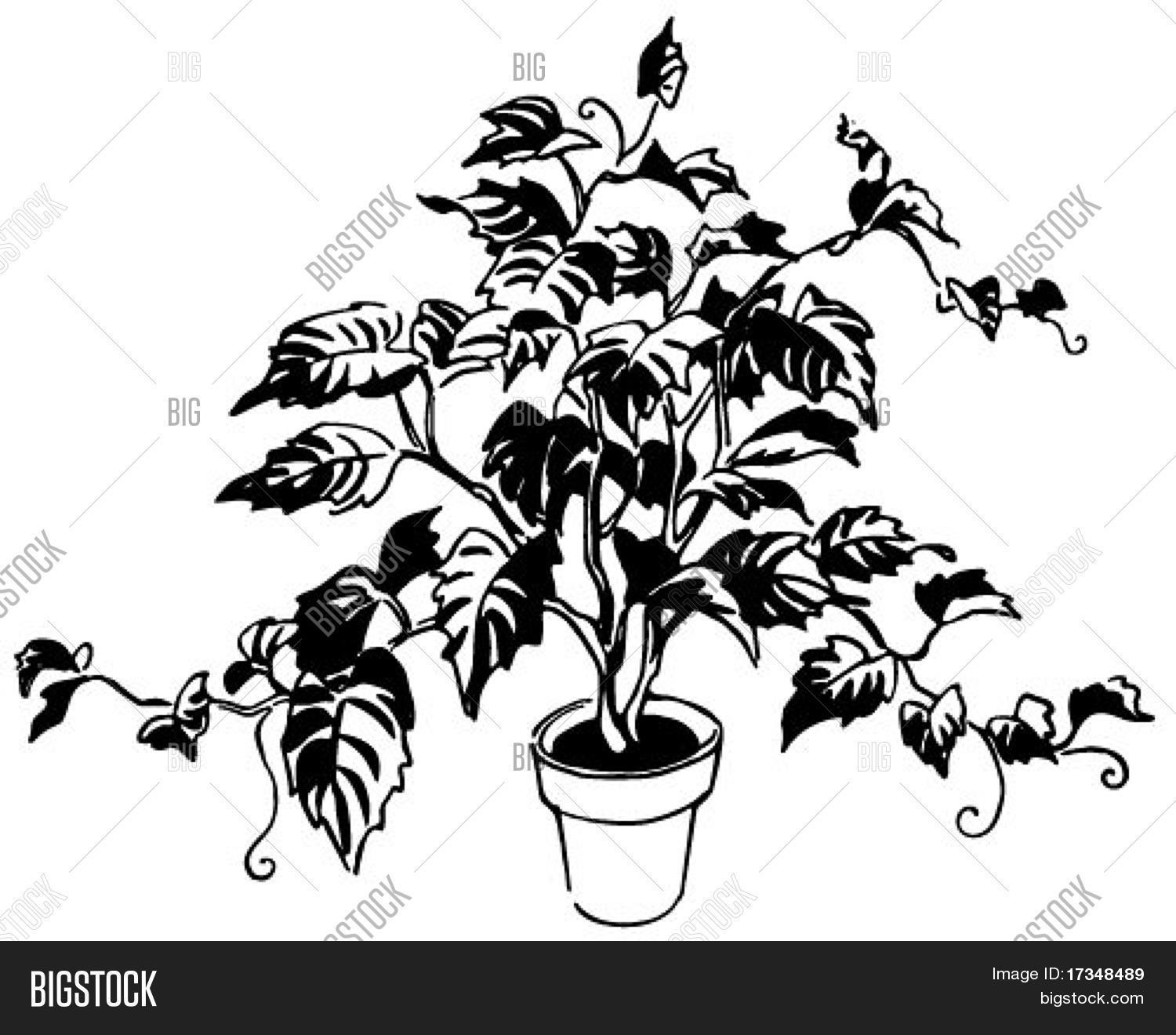 Plant 2 - Retro Vector & Photo (Free Trial) | Bigstock