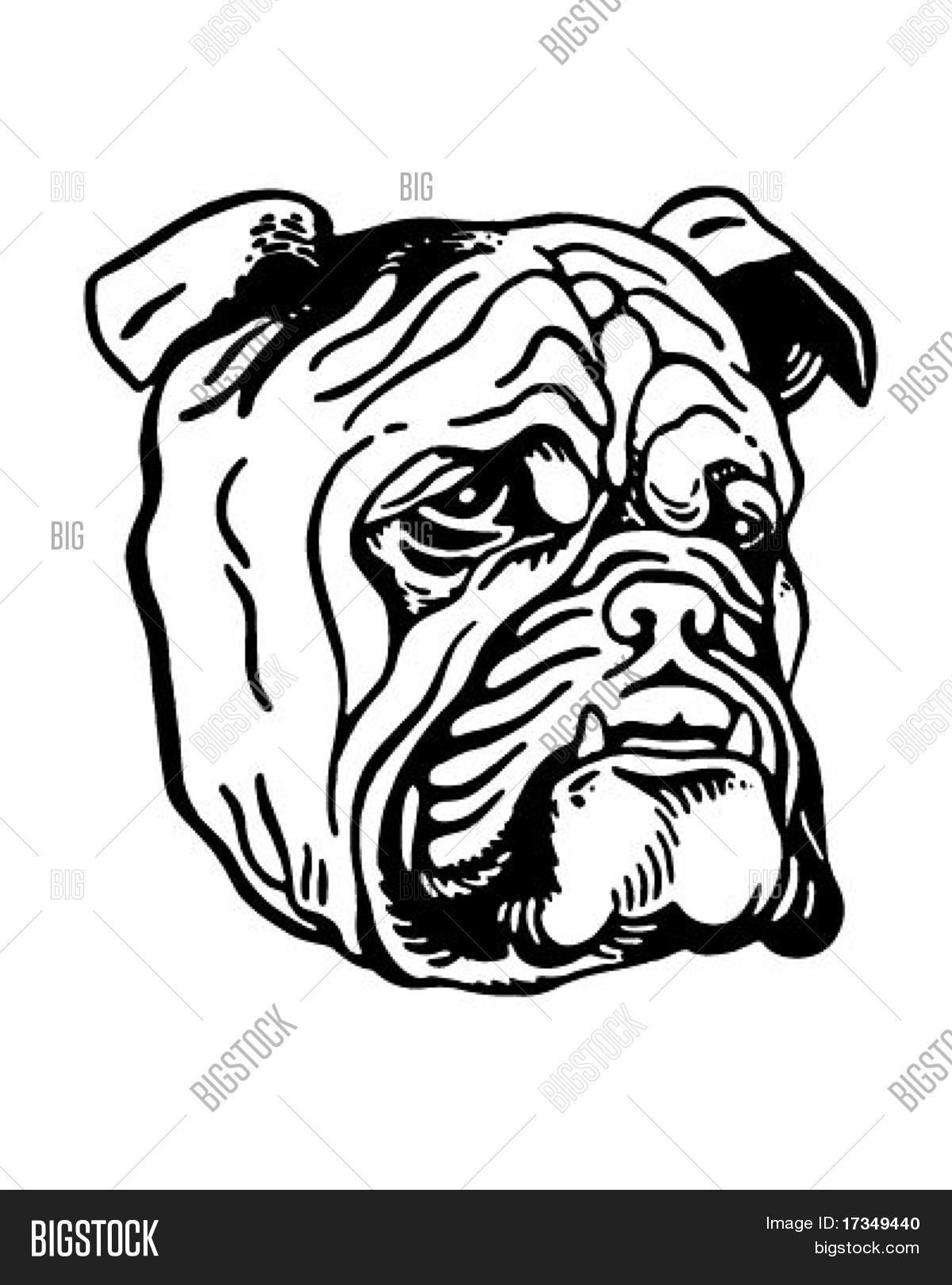 Bulldog - Retro Ad Vector & Photo (Free Trial) | Bigstock