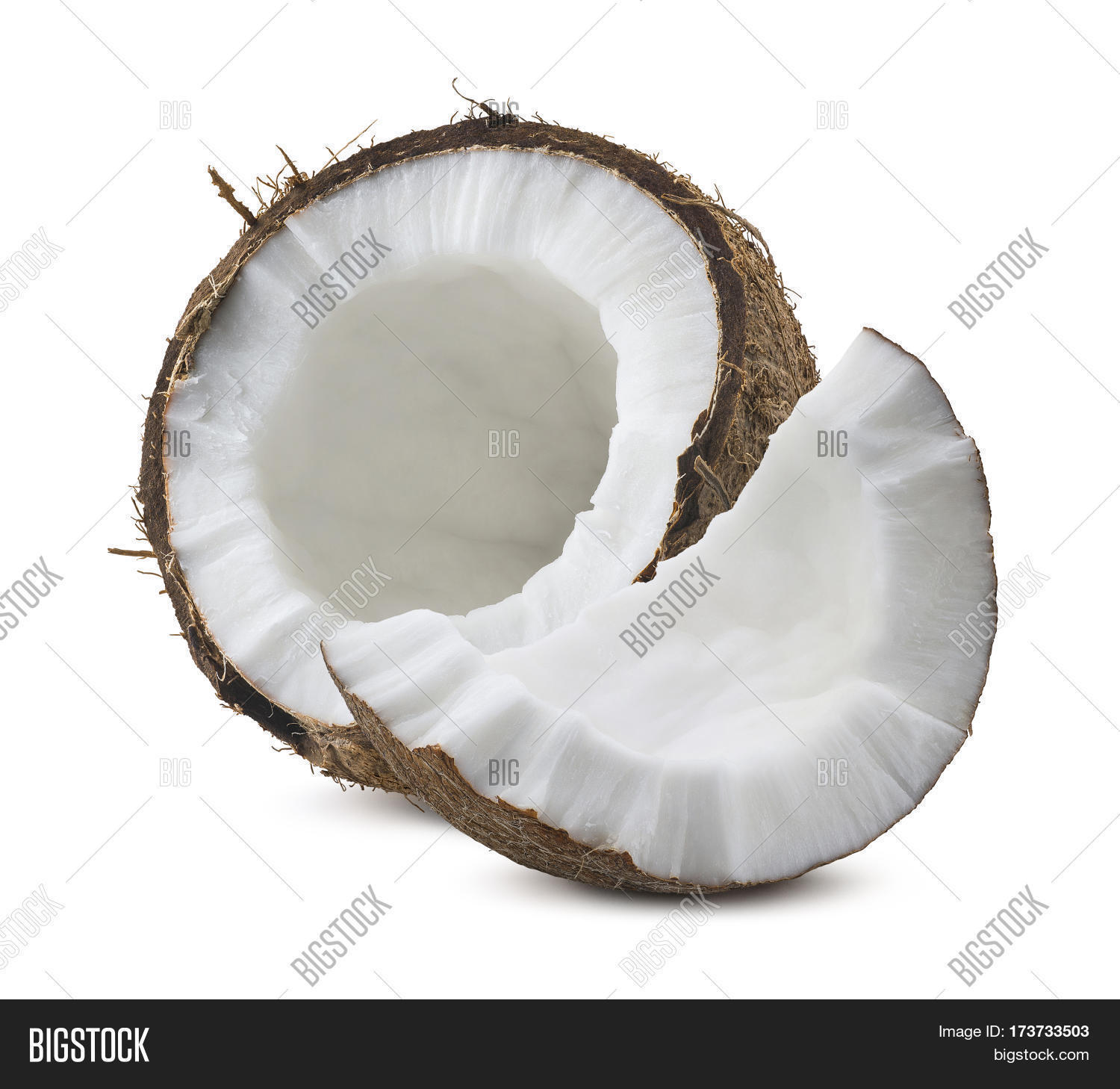 Coconut Half Piece Image & Photo (Free Trial) | Bigstock