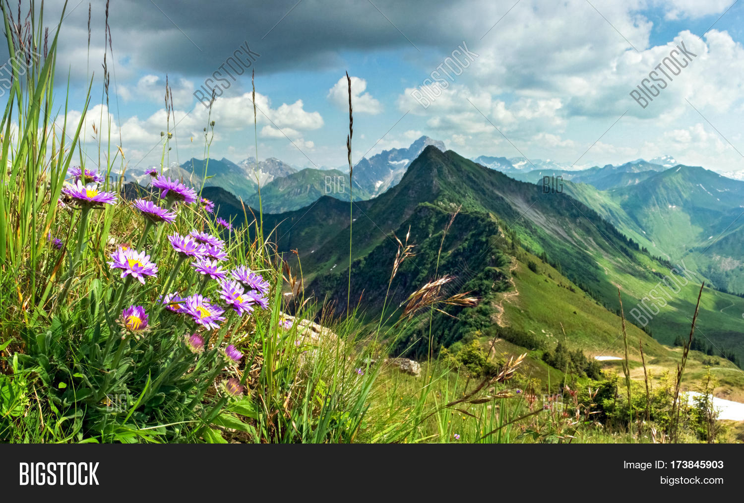 Great Clear View High Image & Photo (Free Trial) | Bigstock