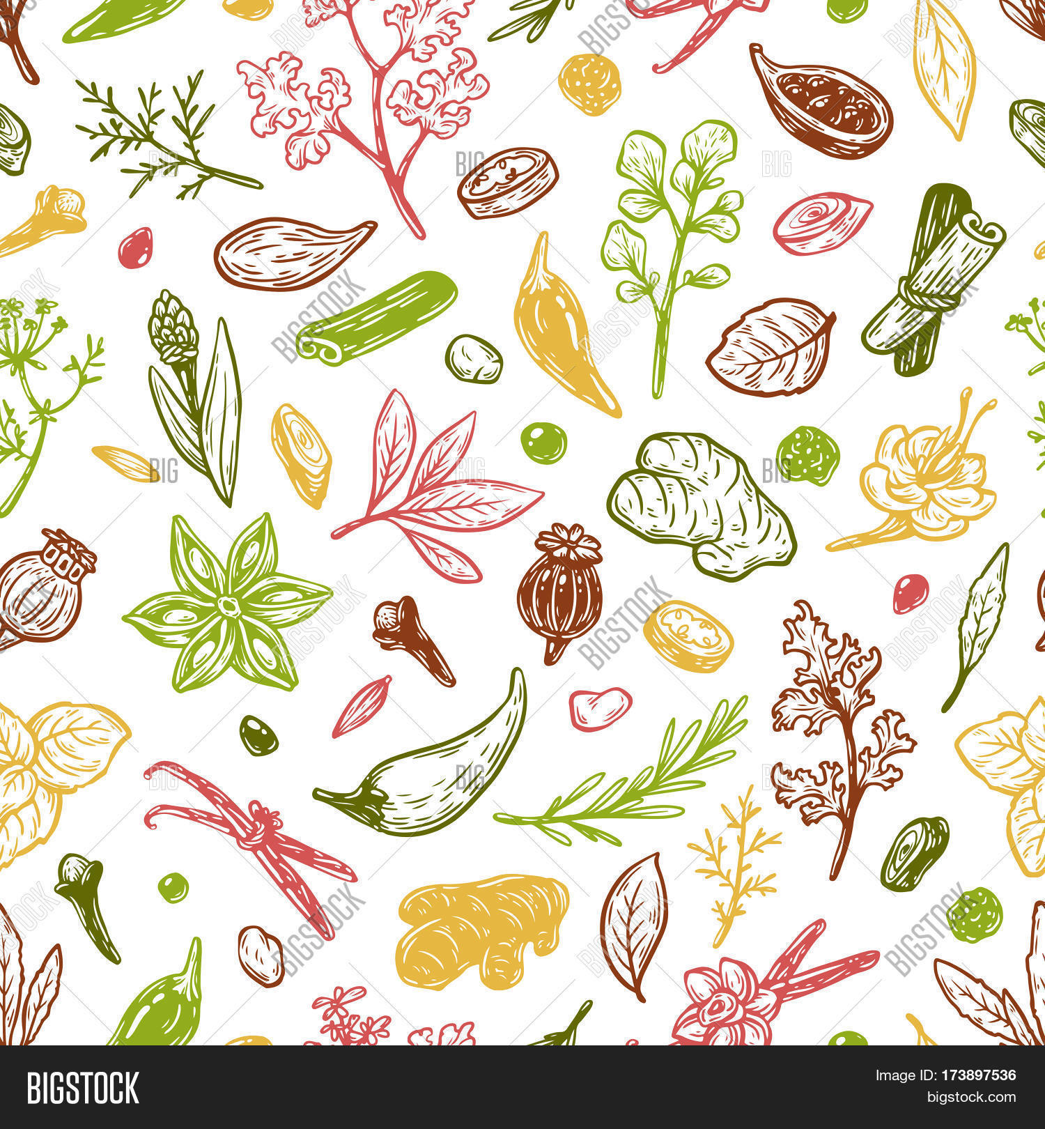 Spices & Herbs, Vector & Photo (Free Trial) | Bigstock