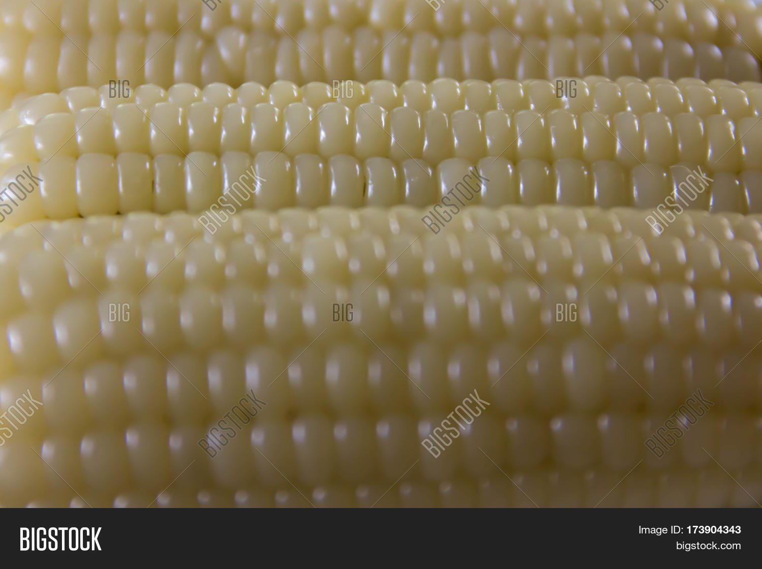 Boiled Corn Shelled Image & Photo (Free Trial) | Bigstock