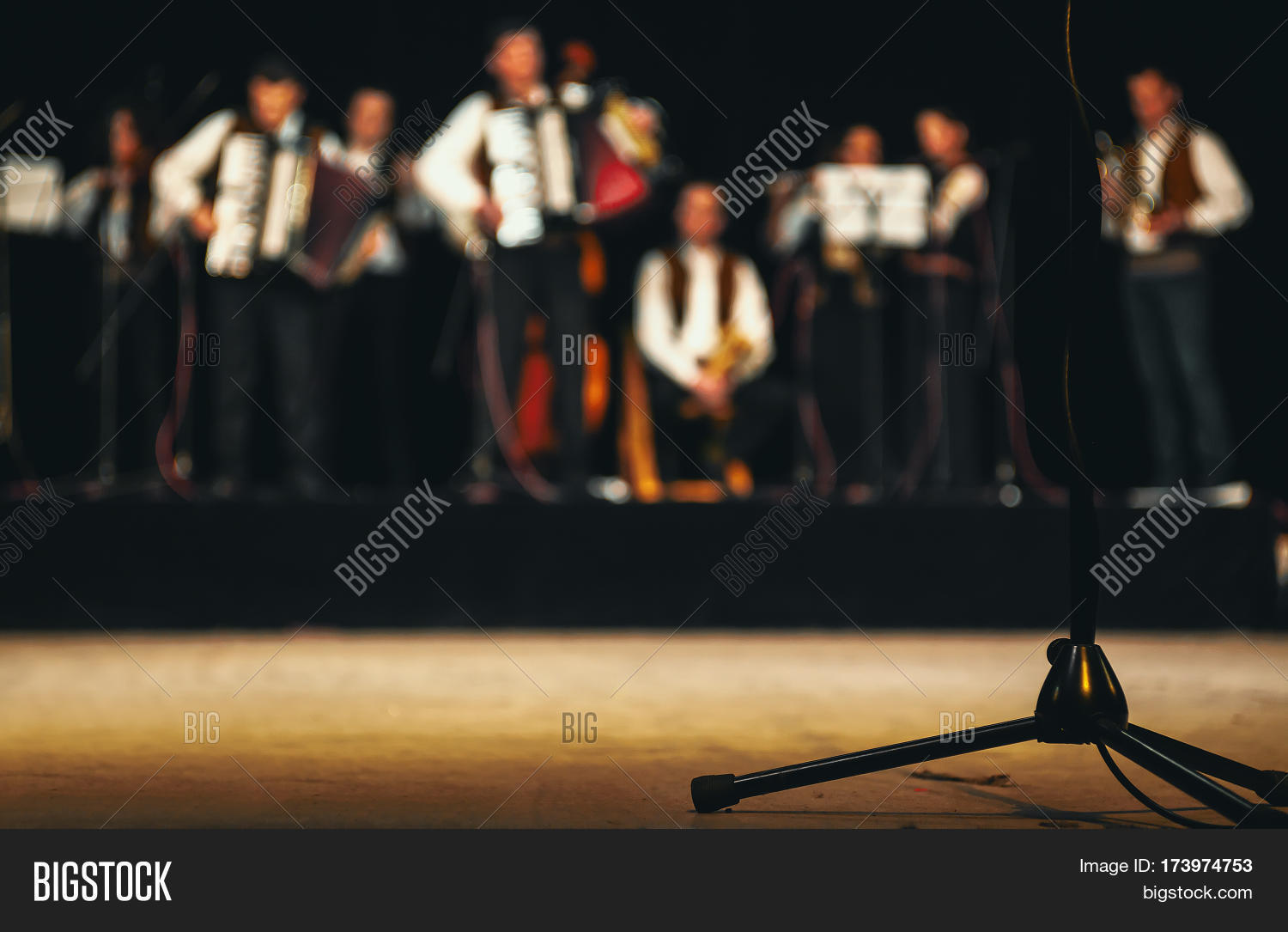Acoustic Orchestra On Image & Photo (Free Trial) | Bigstock