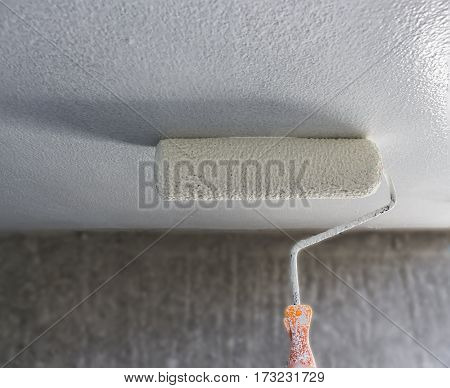 Panting White Color On Image & Photo (Free Trial) | Bigstock