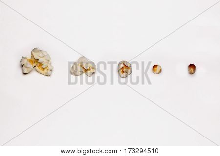 Stages Preparation Image & Photo (Free Trial) | Bigstock