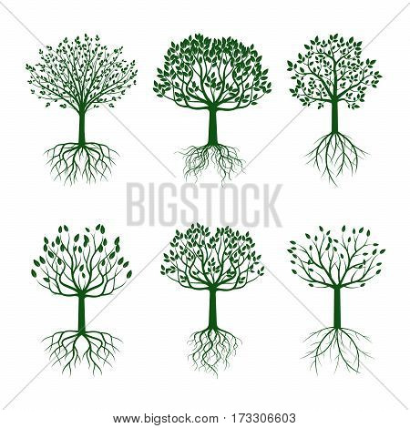 Set Green Trees Roots Vector & Photo (Free Trial) | Bigstock