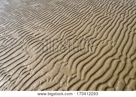 Texture Yellow Sand. Image & Photo (Free Trial) | Bigstock