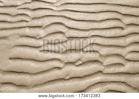 Texture Yellow Sand. Image & Photo (Free Trial) | Bigstock