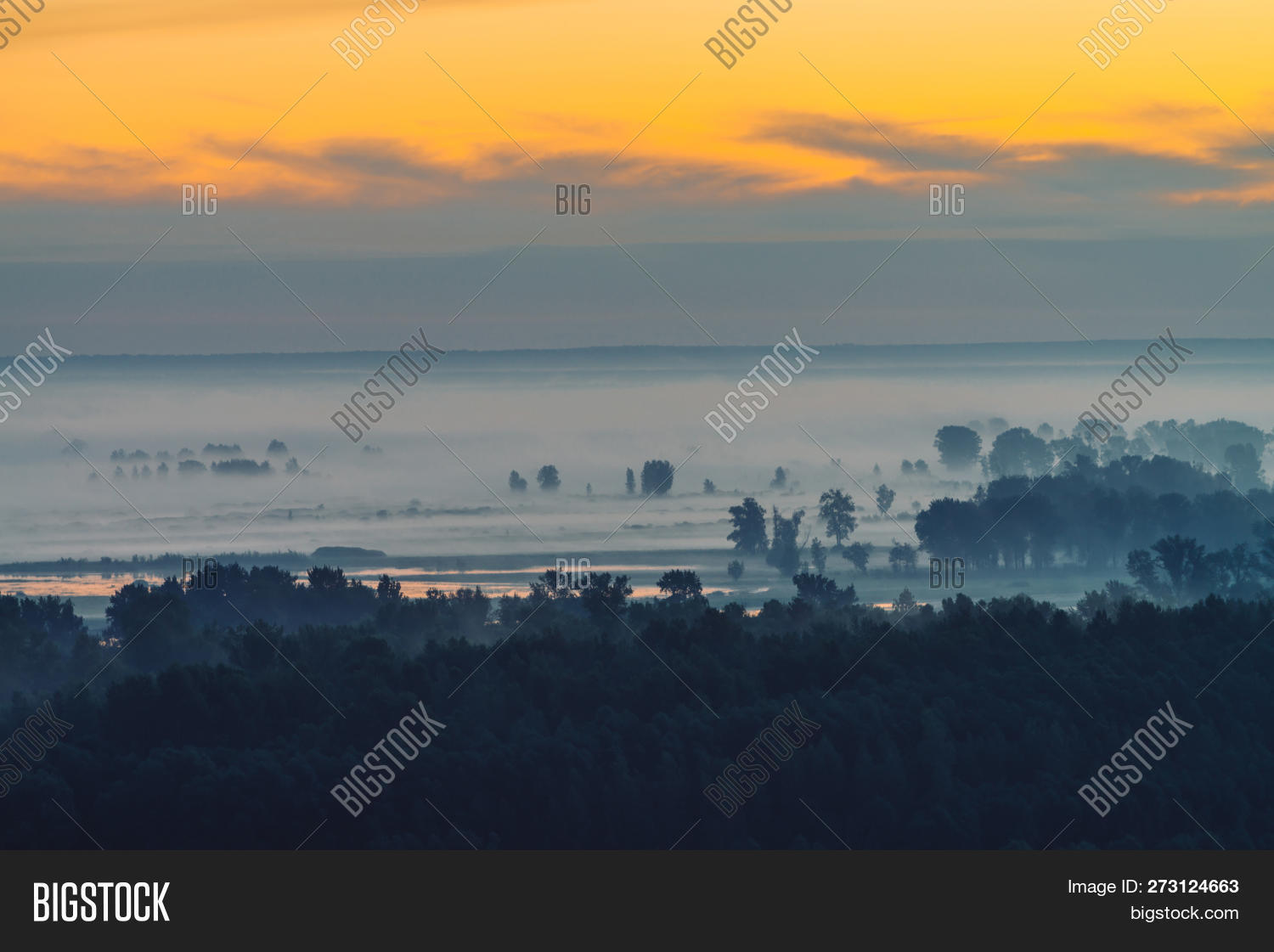 Mystic View On Forest Image & Photo (Free Trial) | Bigstock
