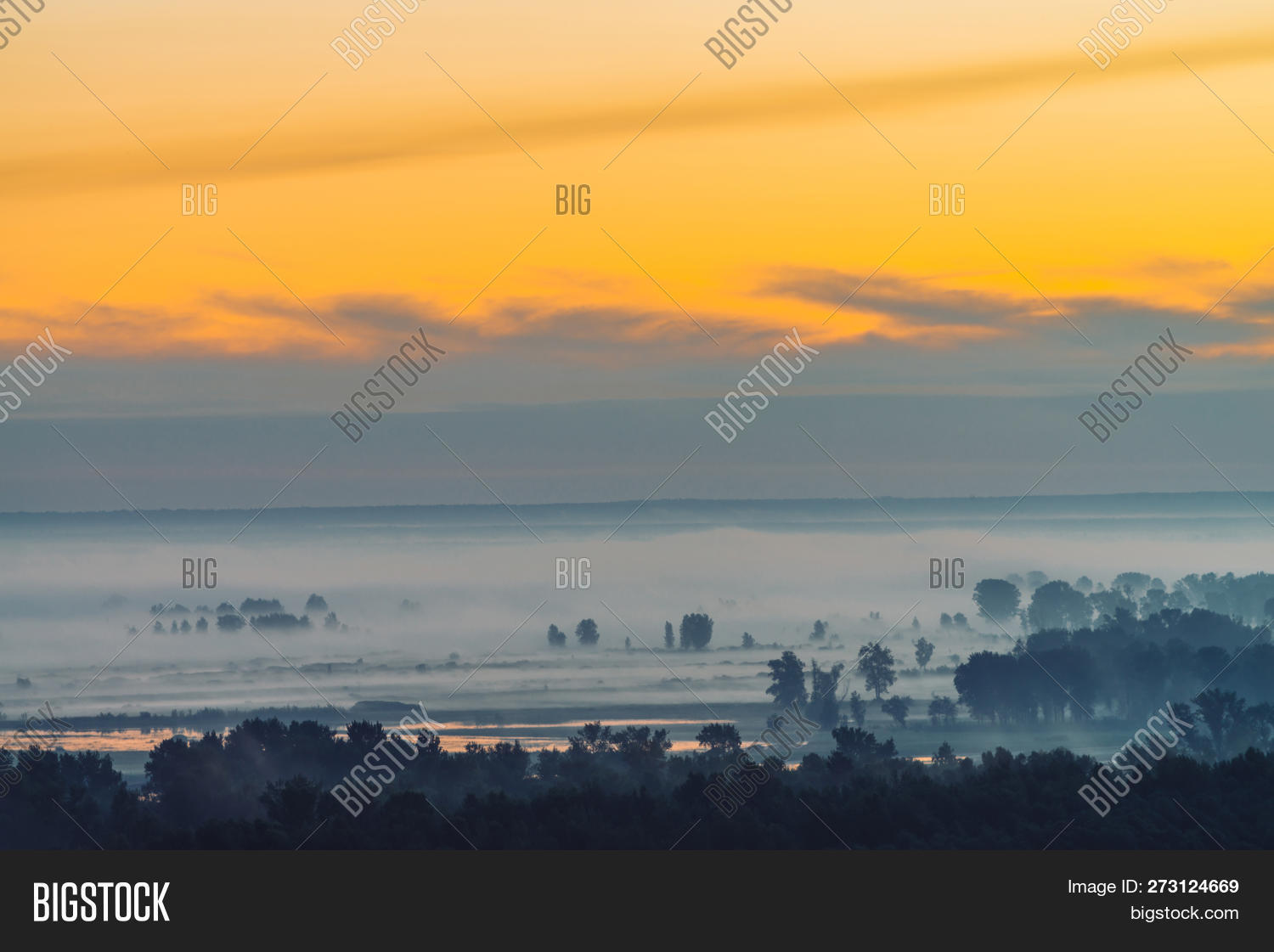 Mystic View On Forest Image & Photo (Free Trial) | Bigstock