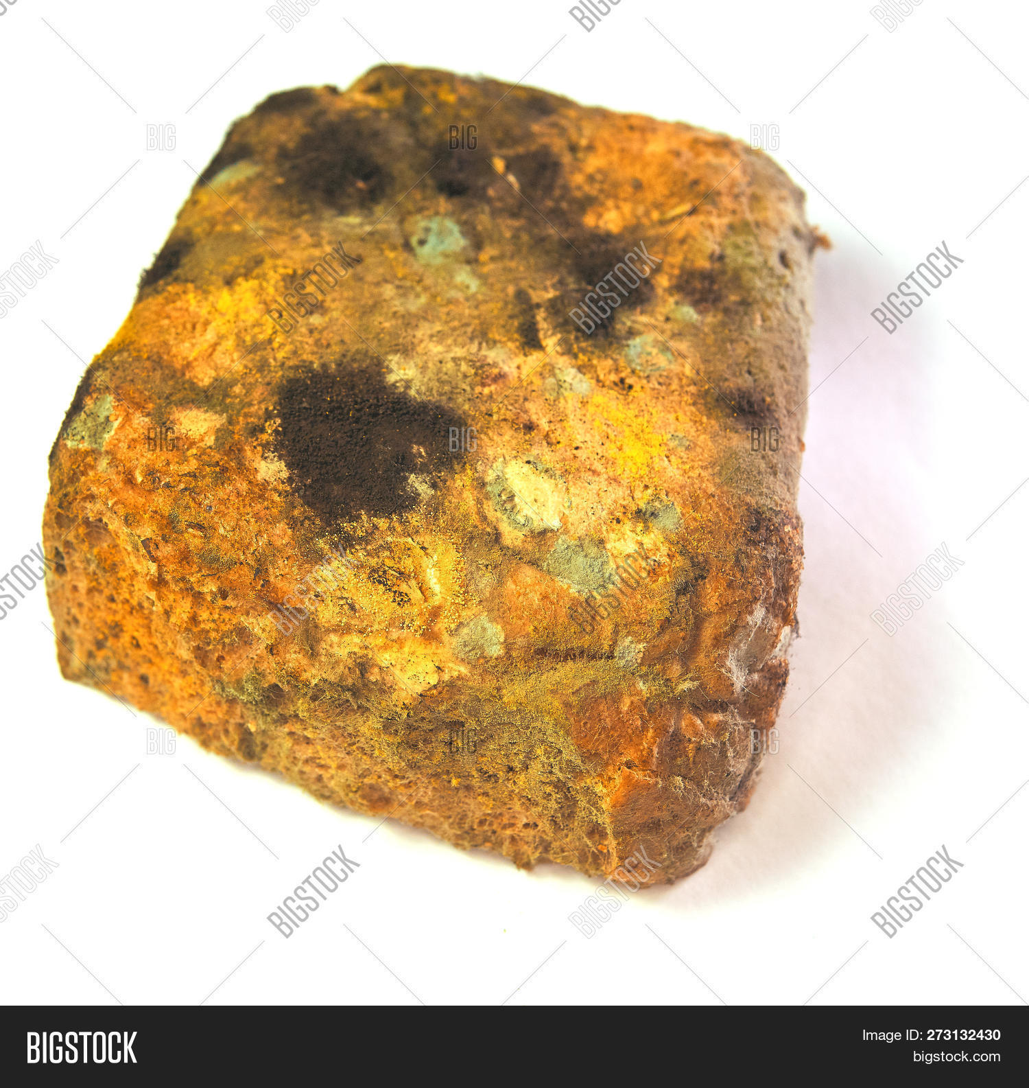 Moldy Bread. One Slice Image & Photo (Free Trial) | Bigstock