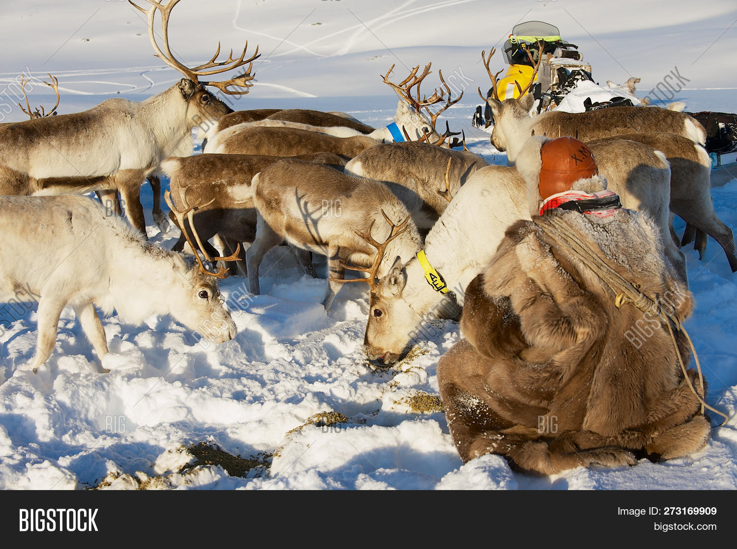 Tromso, Norway - March Image & Photo (Free Trial) | Bigstock