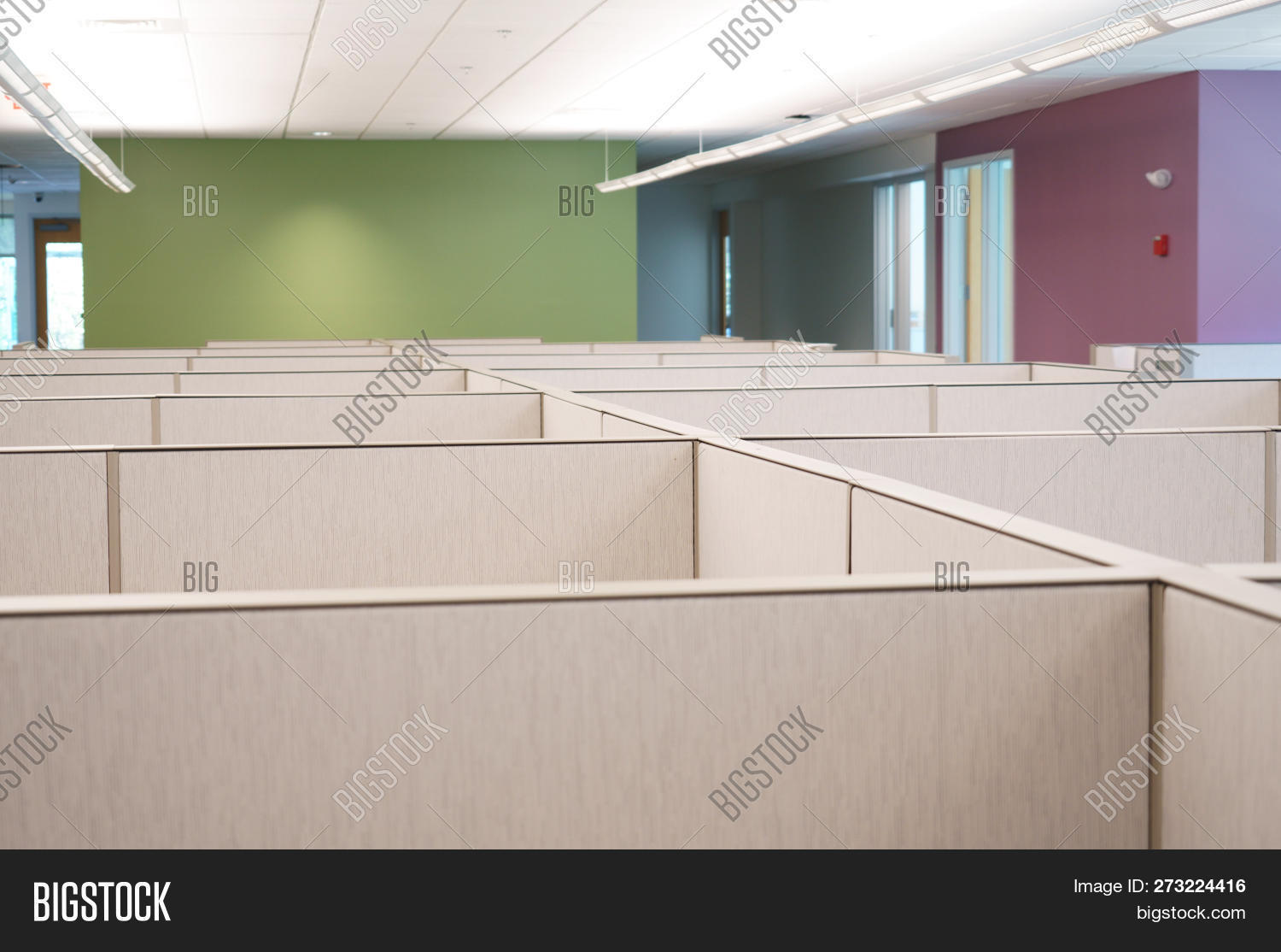 Cubicles Inside Office Image & Photo (Free Trial) | Bigstock