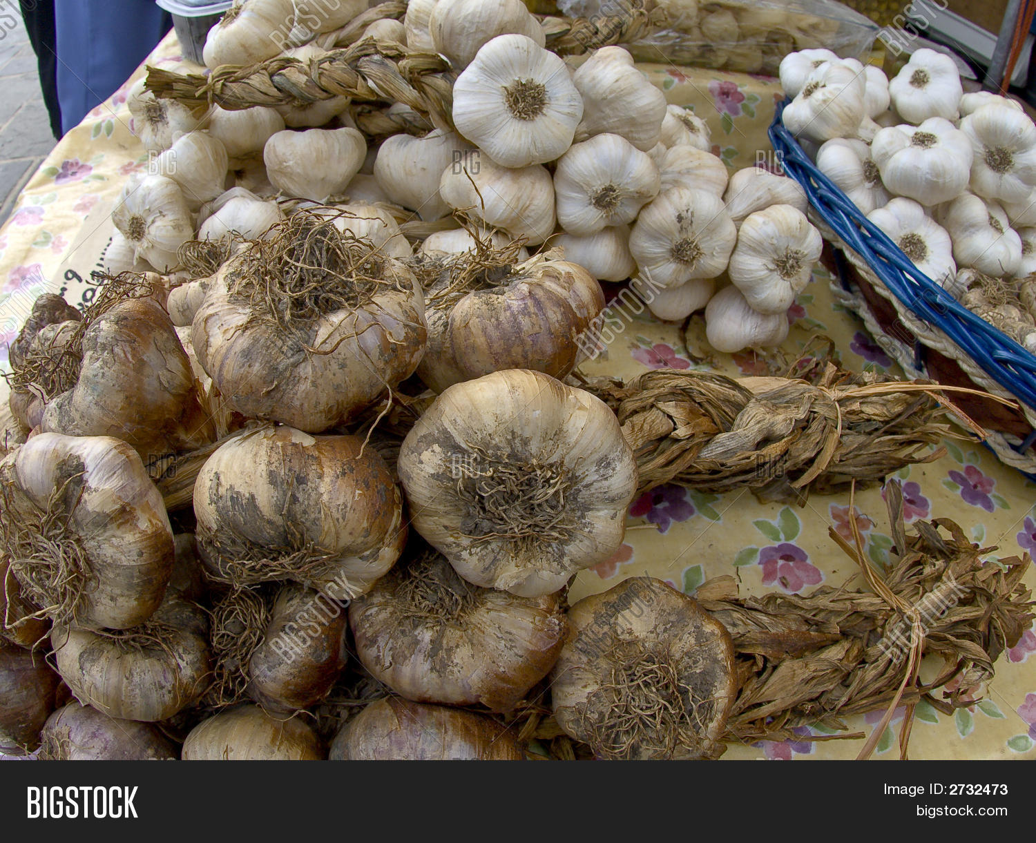 Garlic Varieties Image & Photo (Free Trial) | Bigstock