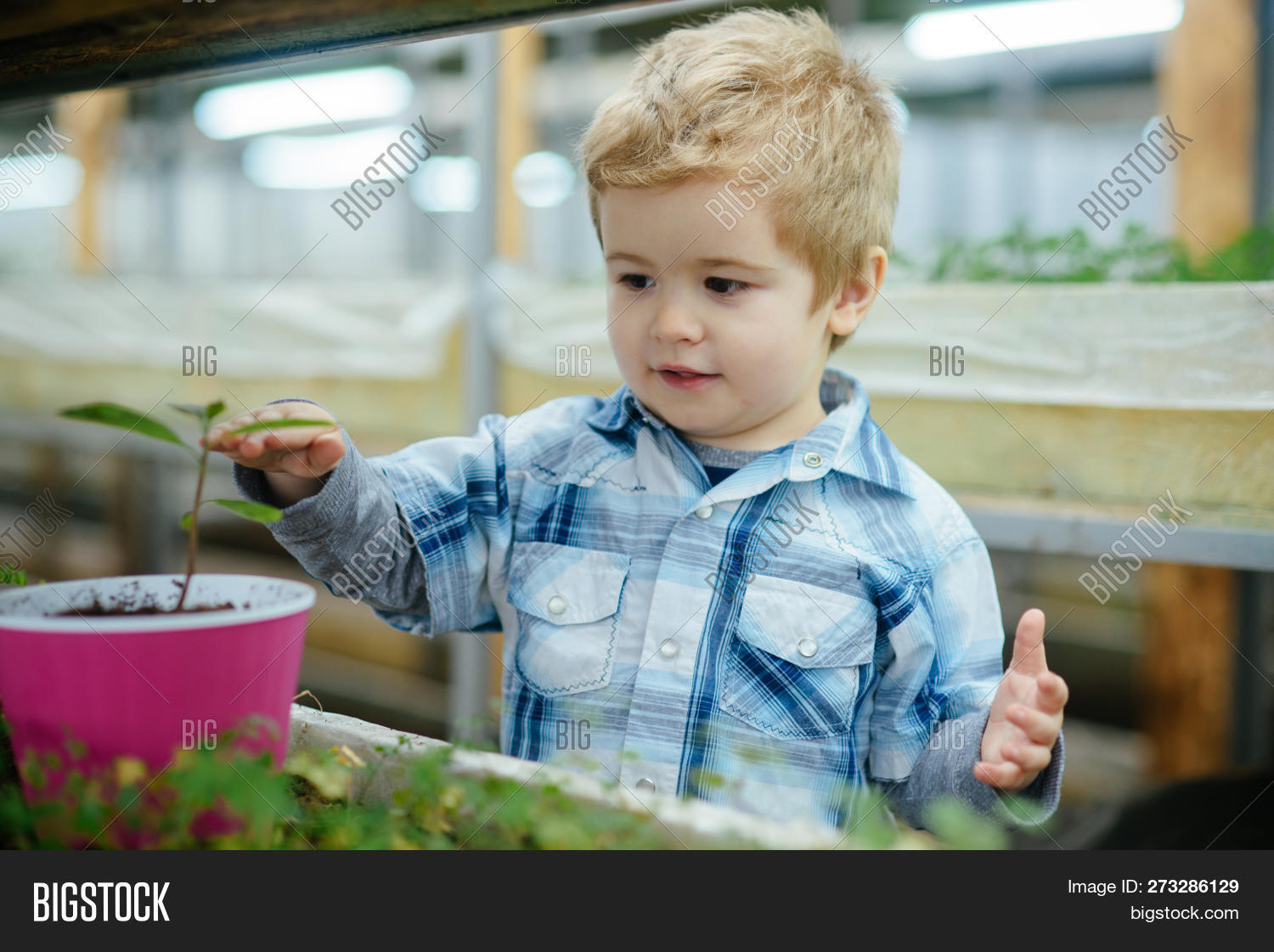 Boy Planting Seeds. Image & Photo (Free Trial) | Bigstock