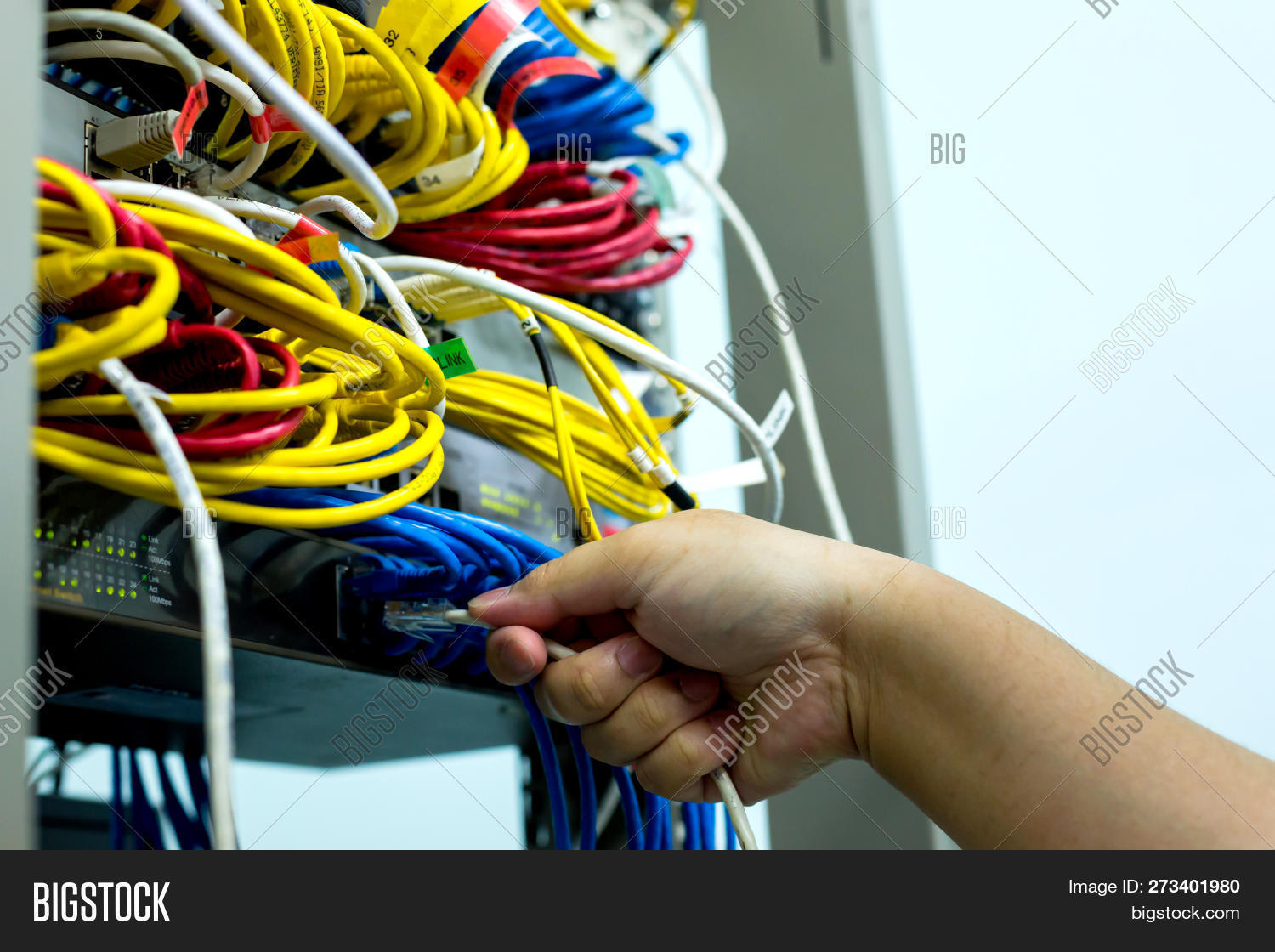 Hand Holding Lan Cord Image & Photo (Free Trial) | Bigstock