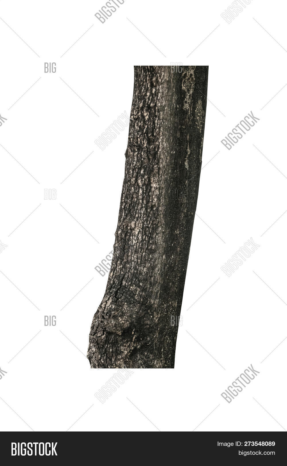 Trunk Tree Isolated On Image & Photo (Free Trial) | Bigstock