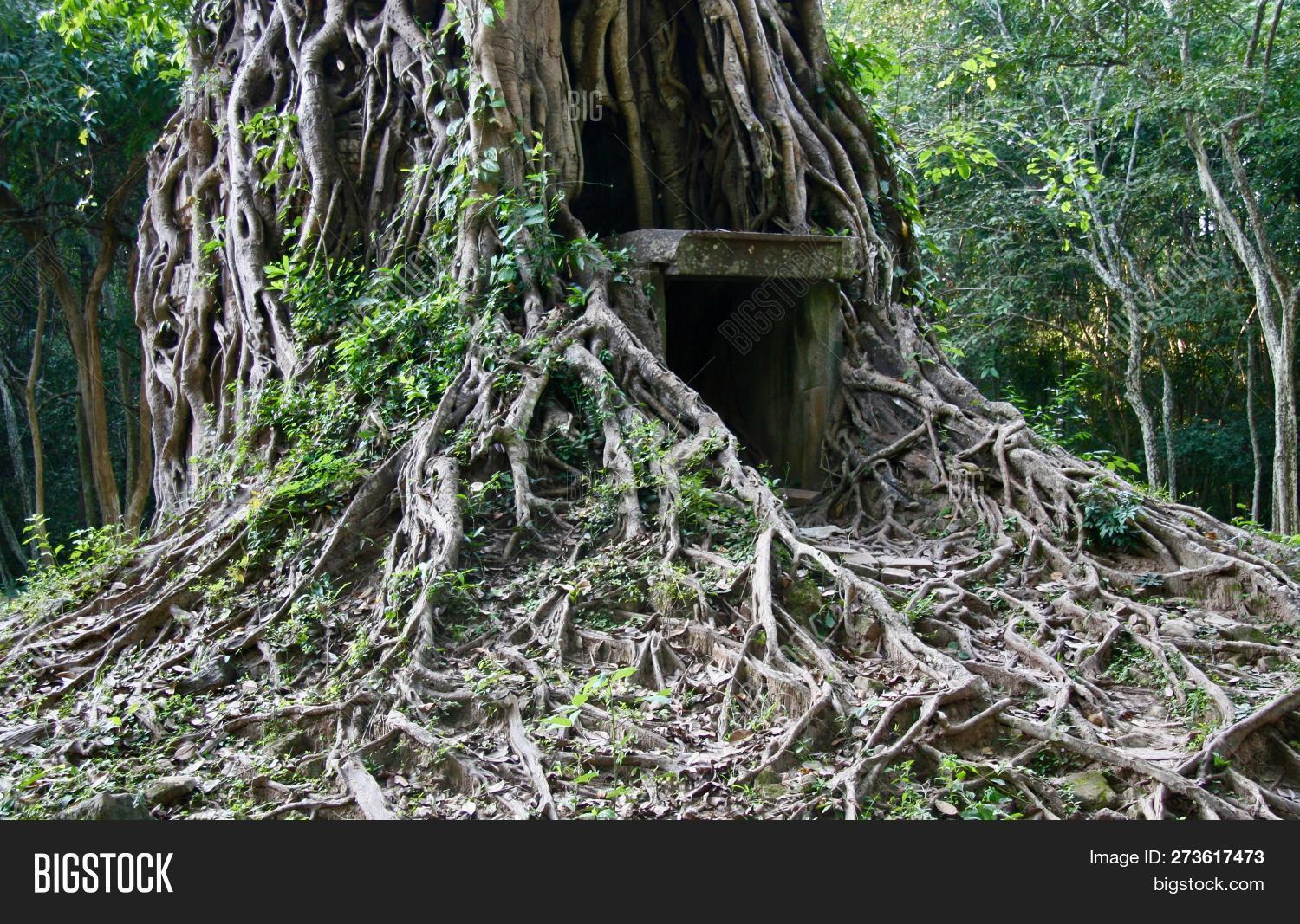 Little Shelter Built Image & Photo (Free Trial) | Bigstock