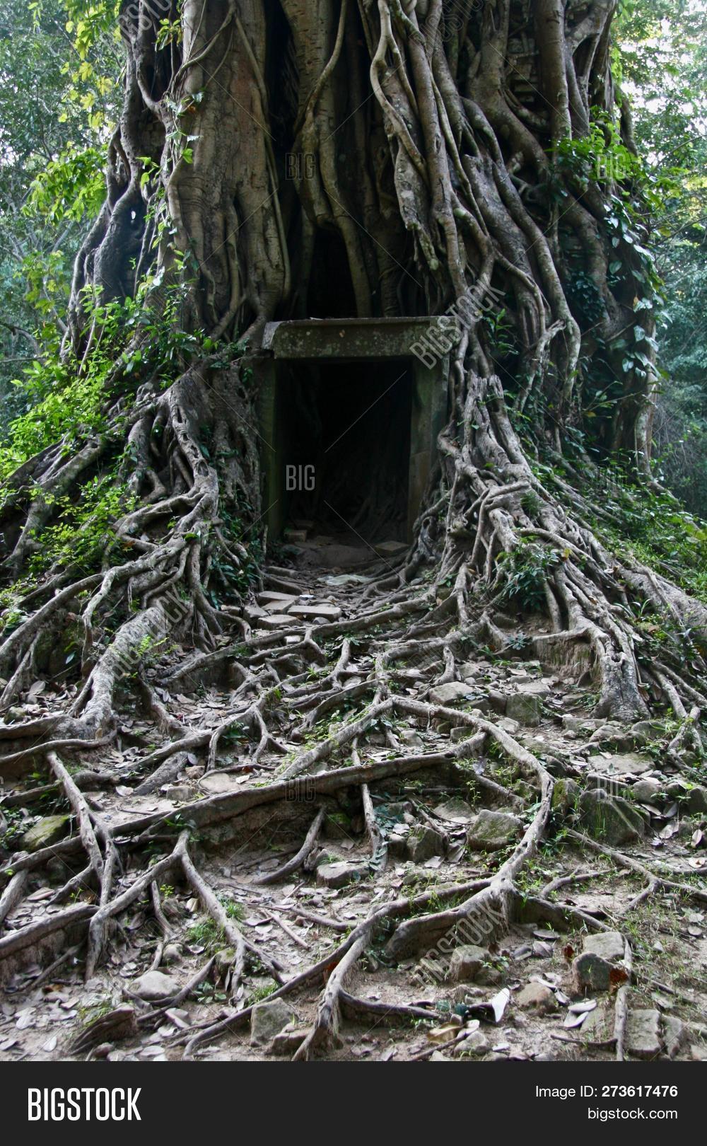 Little Shelter Huge Image & Photo (Free Trial) | Bigstock