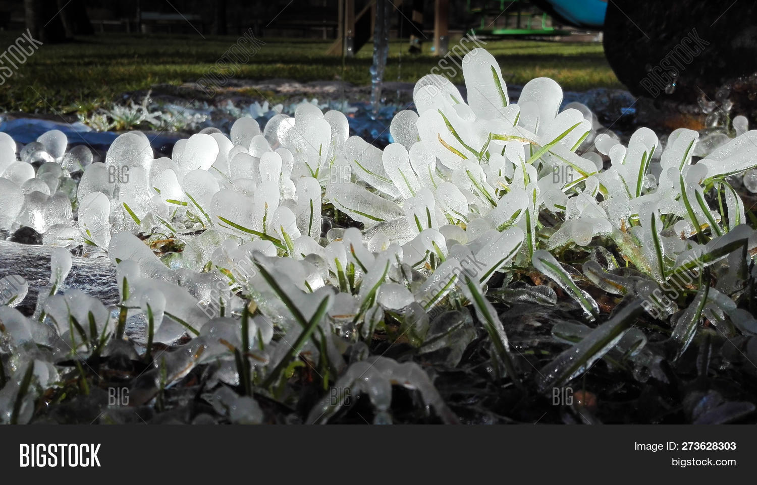 Unusual Phenomenon Ice Image & Photo (Free Trial) | Bigstock