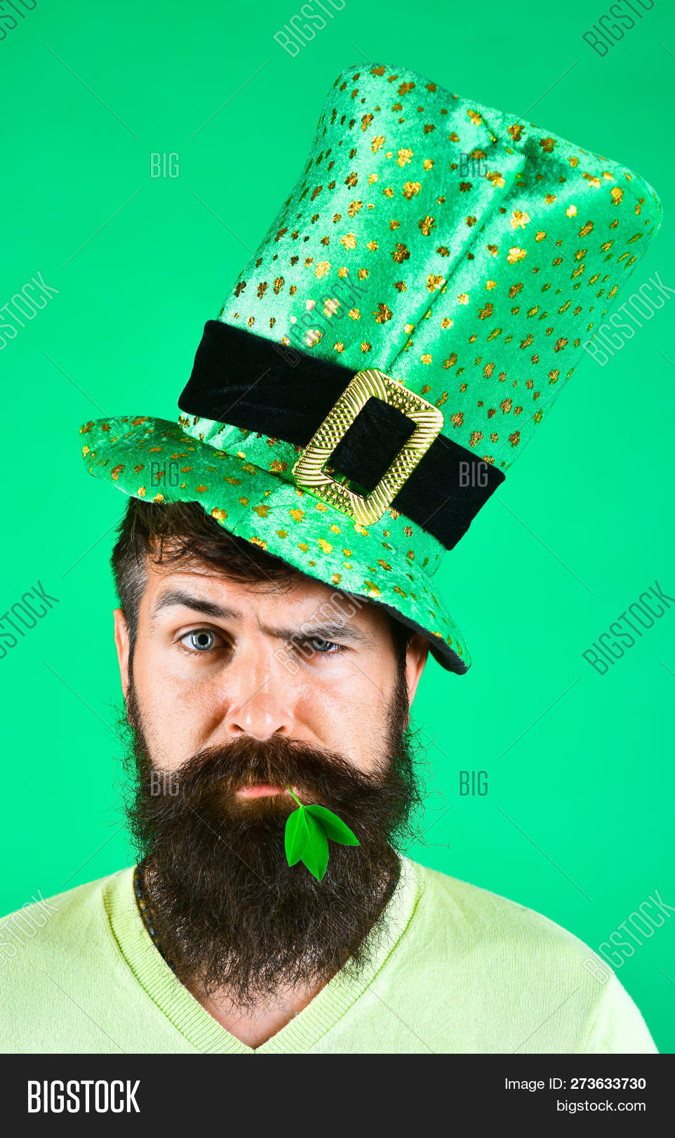 St. Patrick's Man. St Image & Photo (Free Trial) | Bigstock