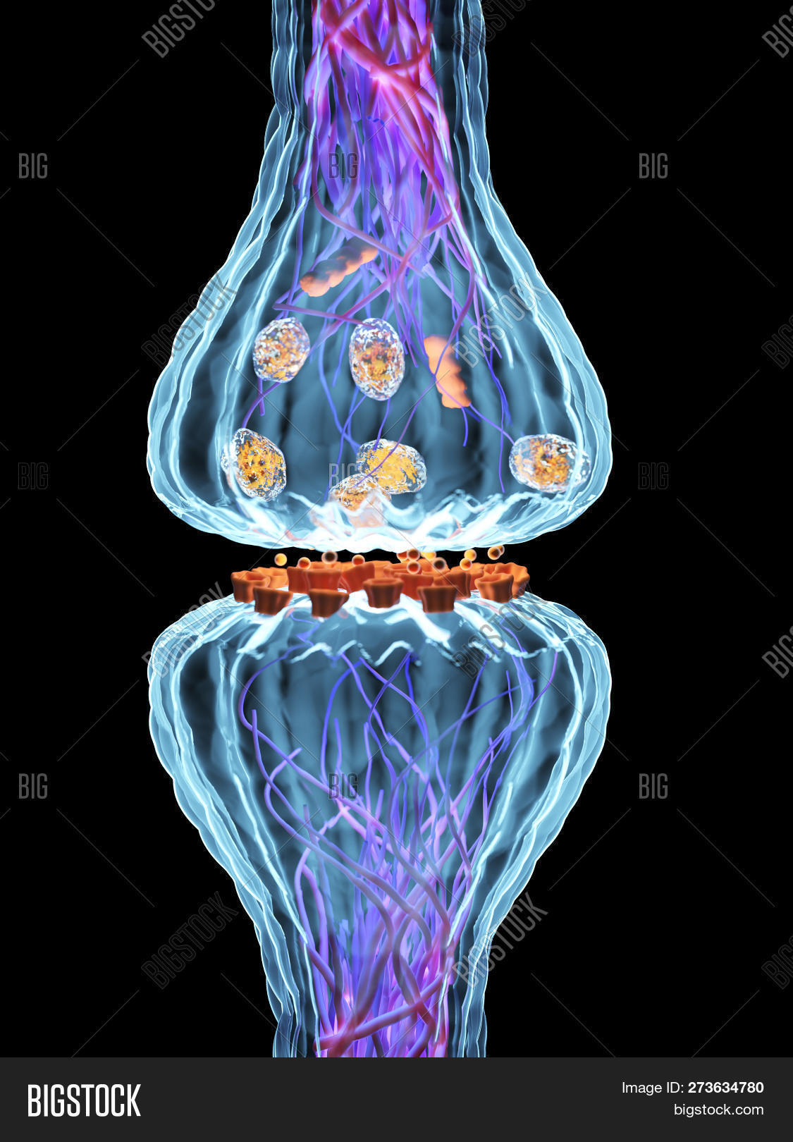 3d Rendered Medically Image & Photo (Free Trial) | Bigstock