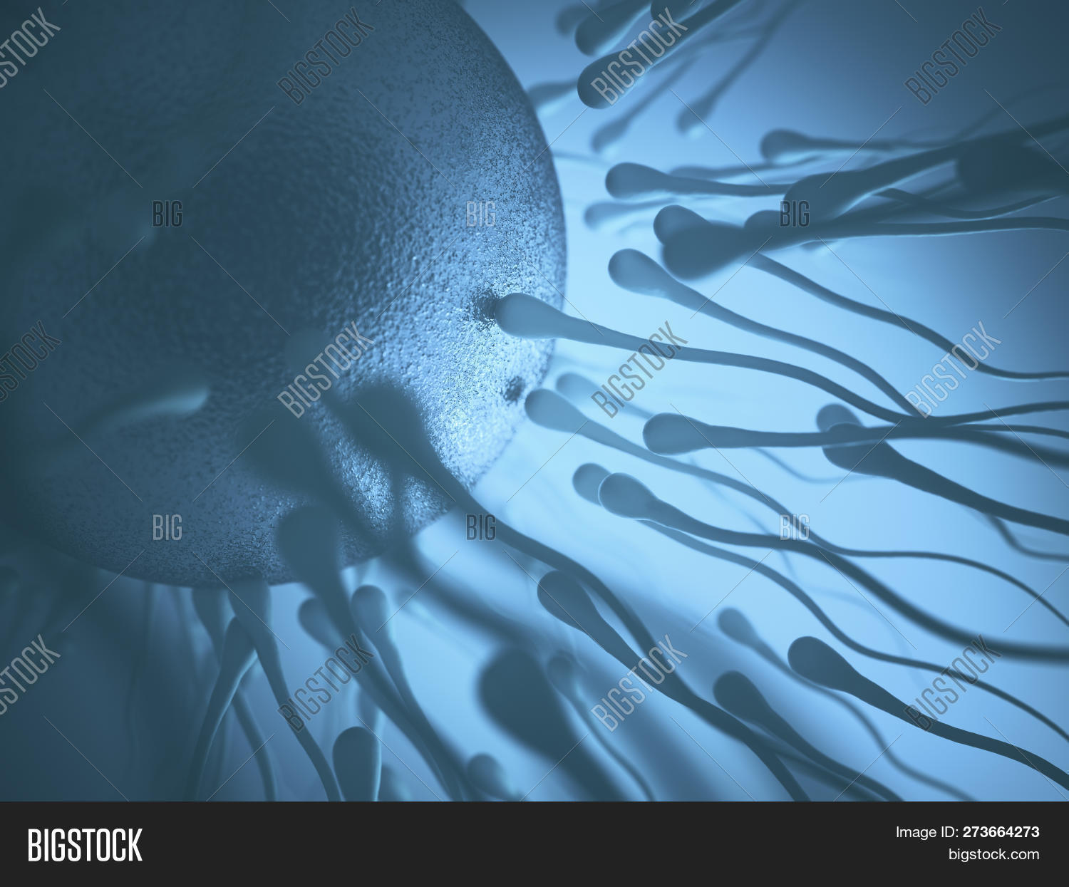 Conceptual Image Human Image & Photo (Free Trial) | Bigstock