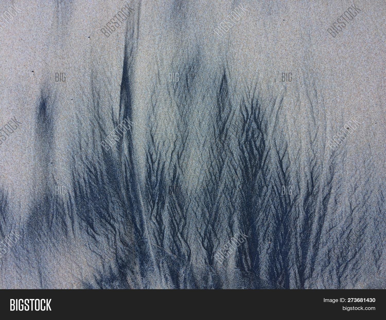 Sea Silt Sand, Image & Photo (Free Trial) | Bigstock