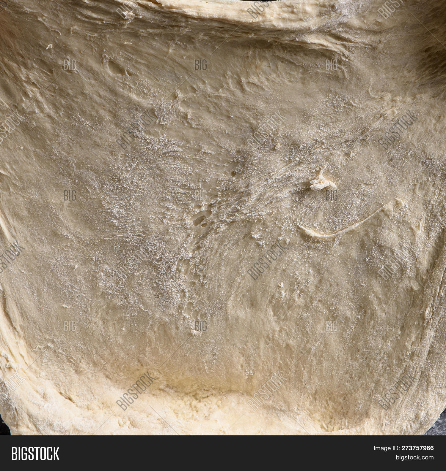 Texture Kneaded Yeast Image & Photo (Free Trial) | Bigstock