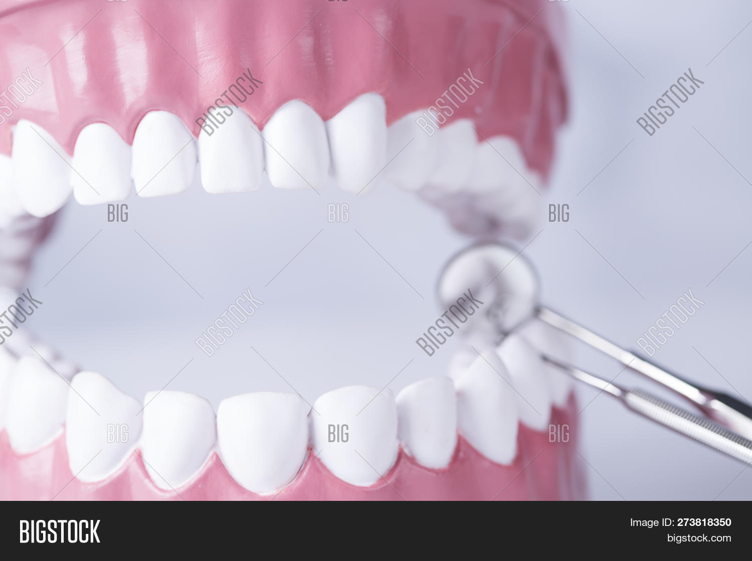 White Healthy Tooth, Image & Photo (Free Trial) | Bigstock