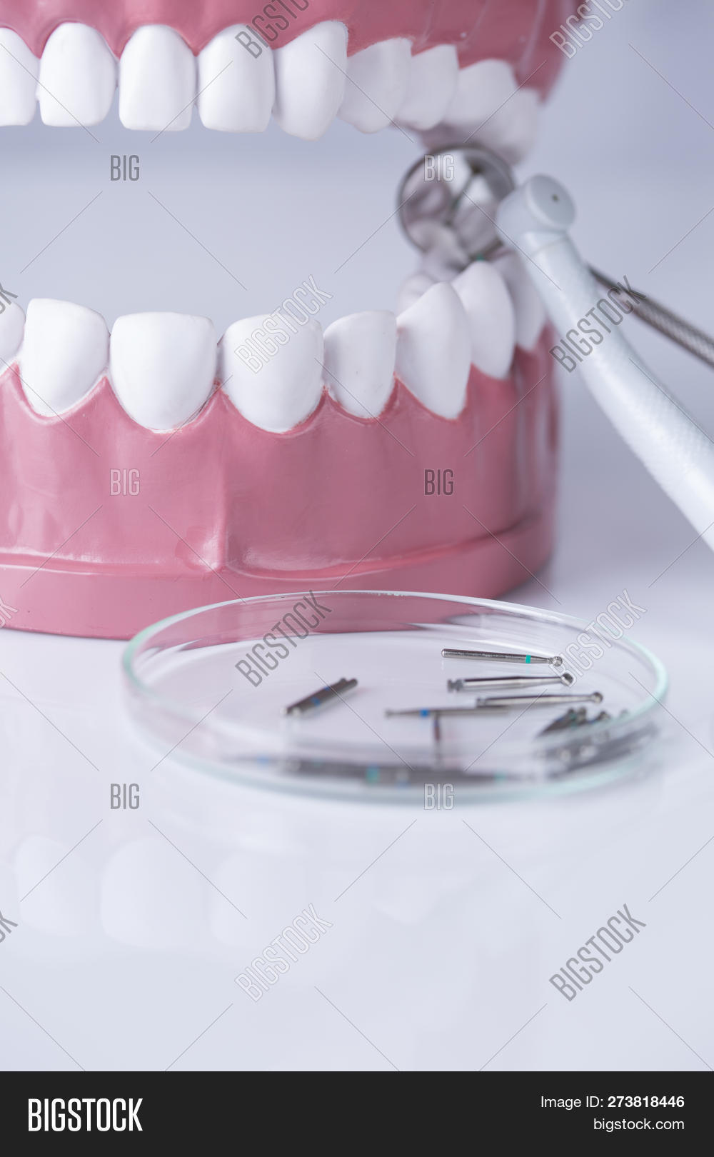 White Healthy Tooth, Image & Photo (Free Trial) | Bigstock