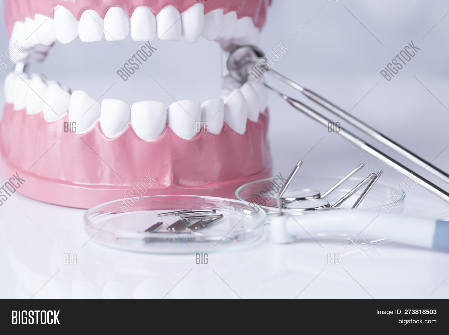 White Healthy Tooth, Image & Photo (Free Trial) | Bigstock