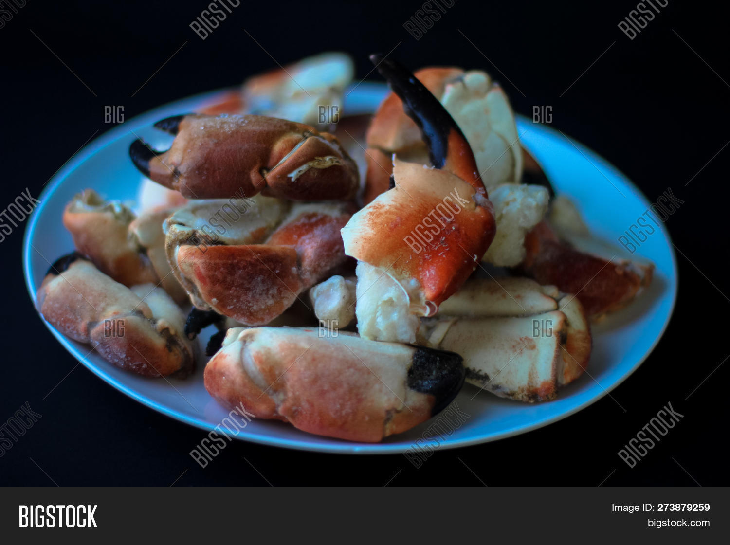 Crab Claws Atlantic Image & Photo (Free Trial) | Bigstock