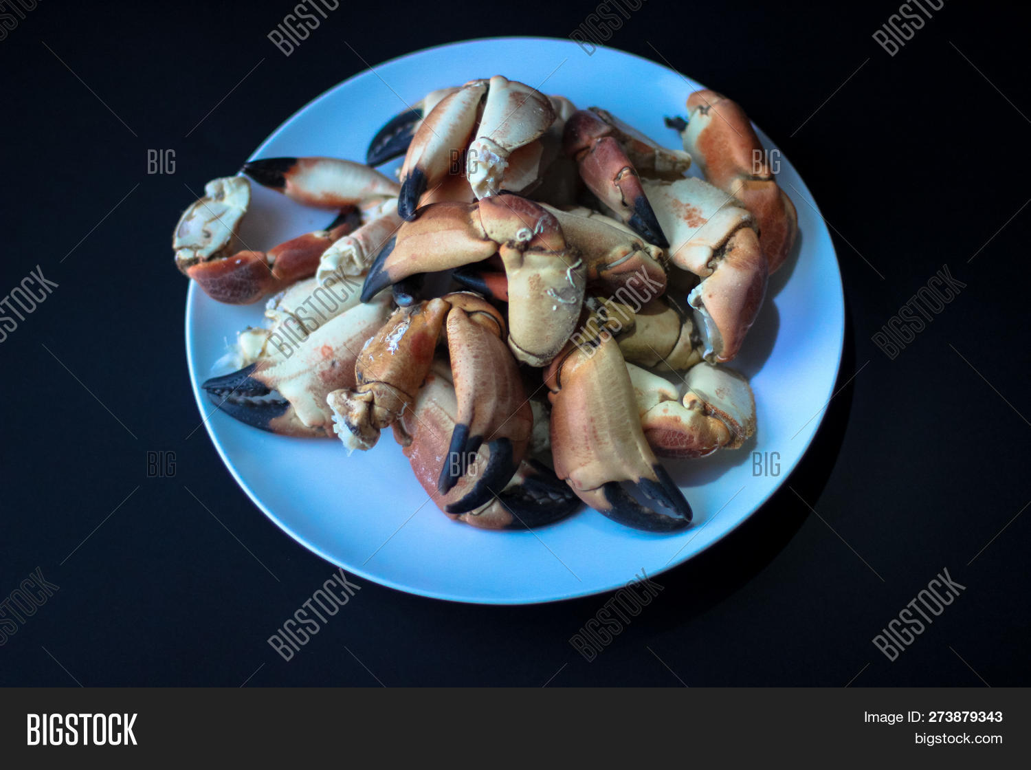 Crab Claws Atlantic Image & Photo (Free Trial) | Bigstock