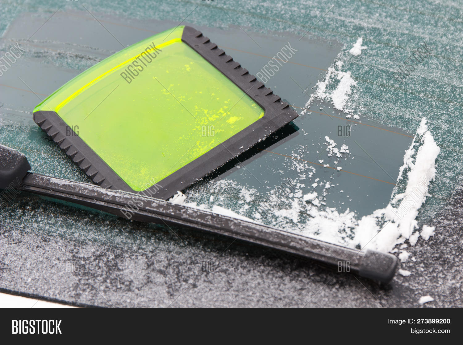 Green Scraper Using Image & Photo (Free Trial) | Bigstock