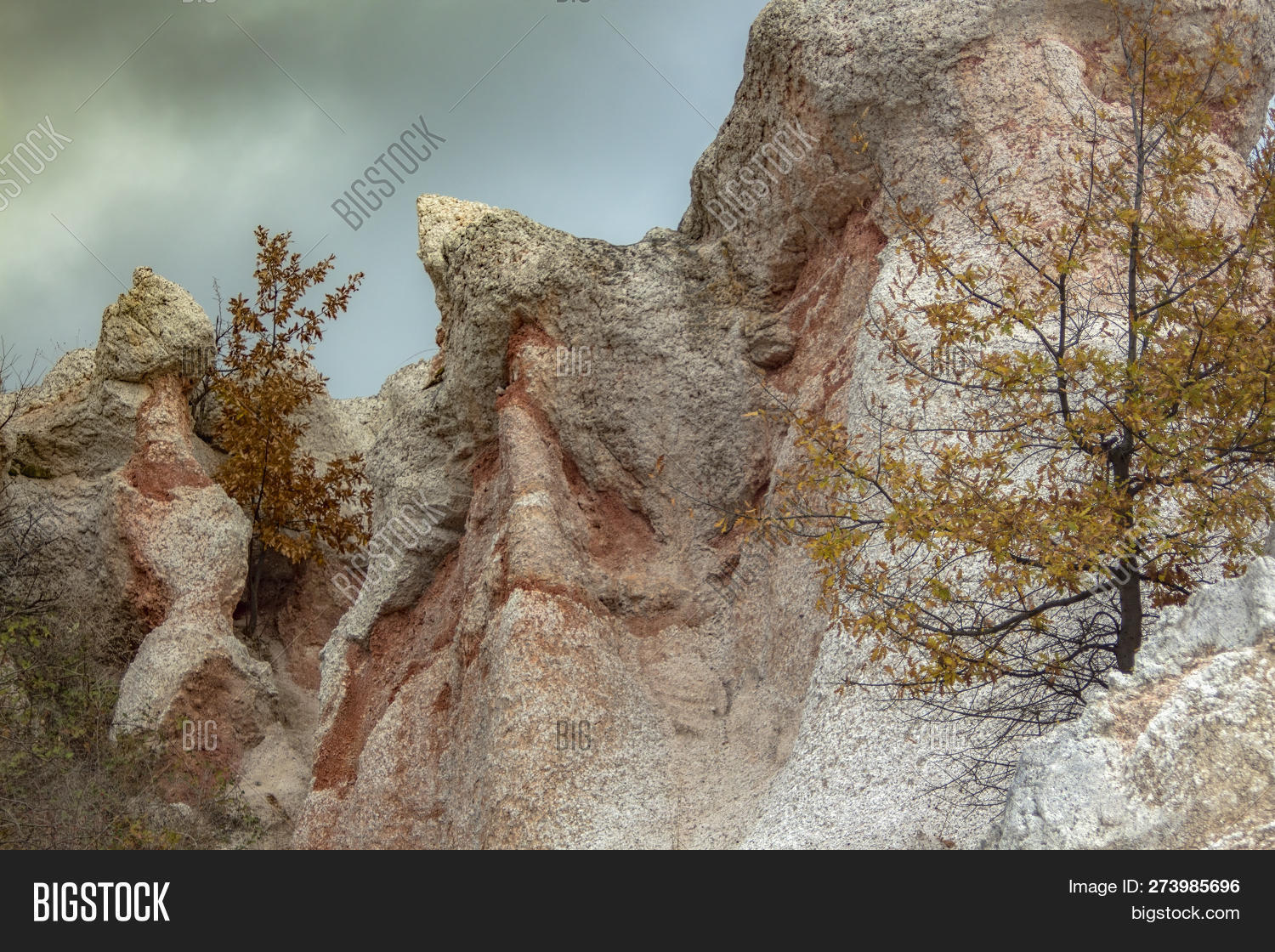 Pink Rocks Growing Image & Photo (Free Trial) | Bigstock
