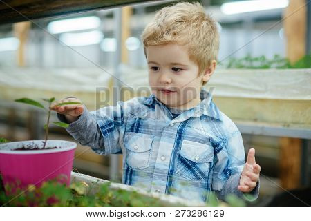 Boy Planting Seeds. Image & Photo (Free Trial) | Bigstock