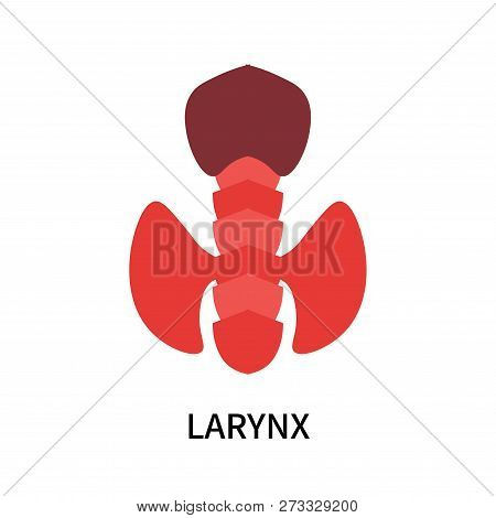 Larynx Icon Isolated Vector & Photo (Free Trial) | Bigstock