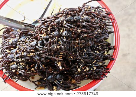 Deep Fried Tarantula Image & Photo (Free Trial) | Bigstock