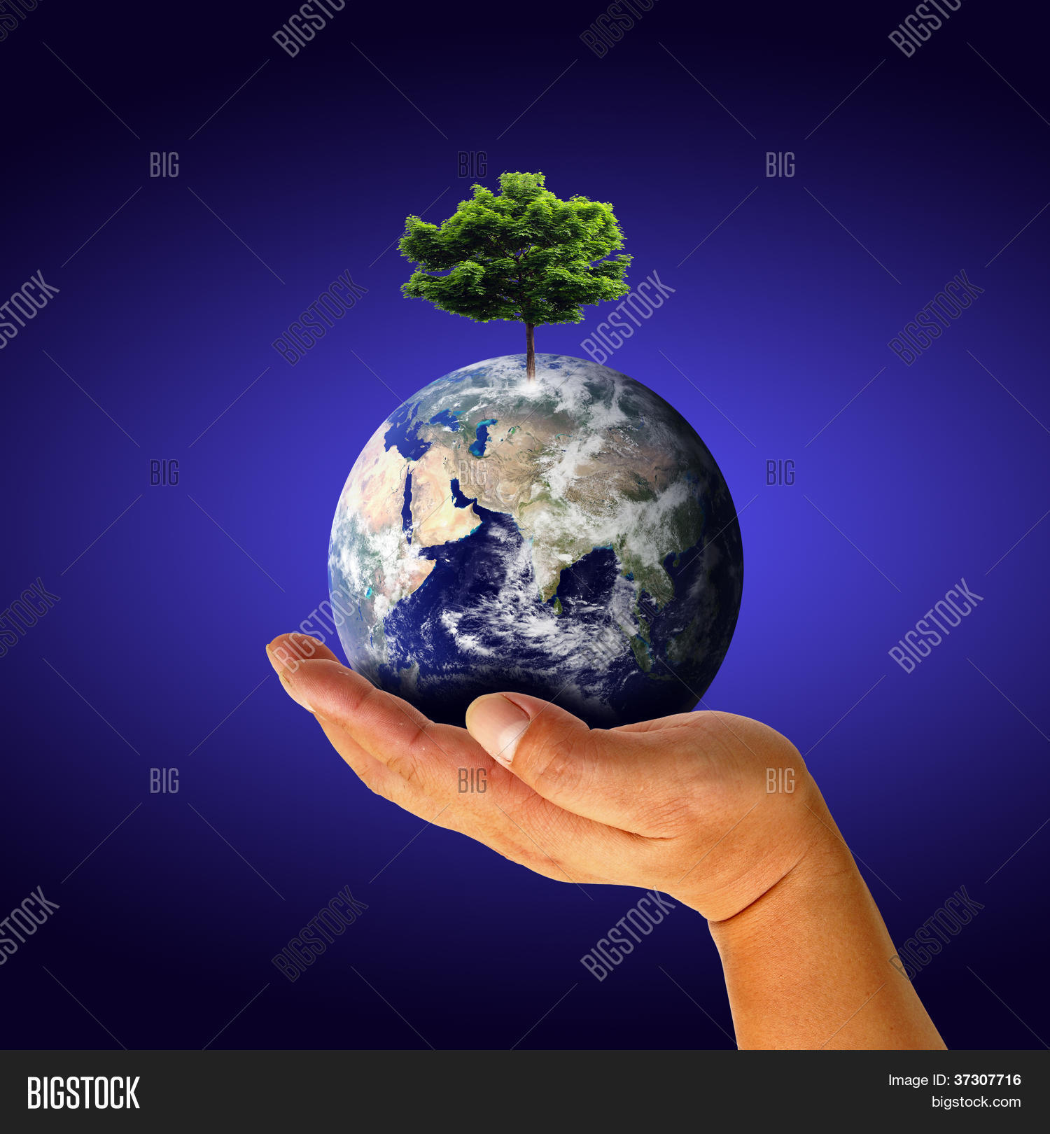 Earth Tree Hand Image & Photo (Free Trial) | Bigstock